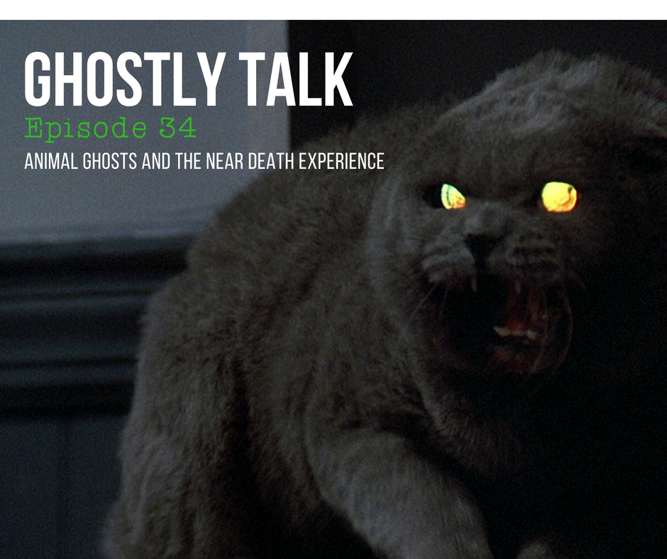 Episode 34 - Animal Ghosts and the Near Death Experience - Ghostly Talk ...